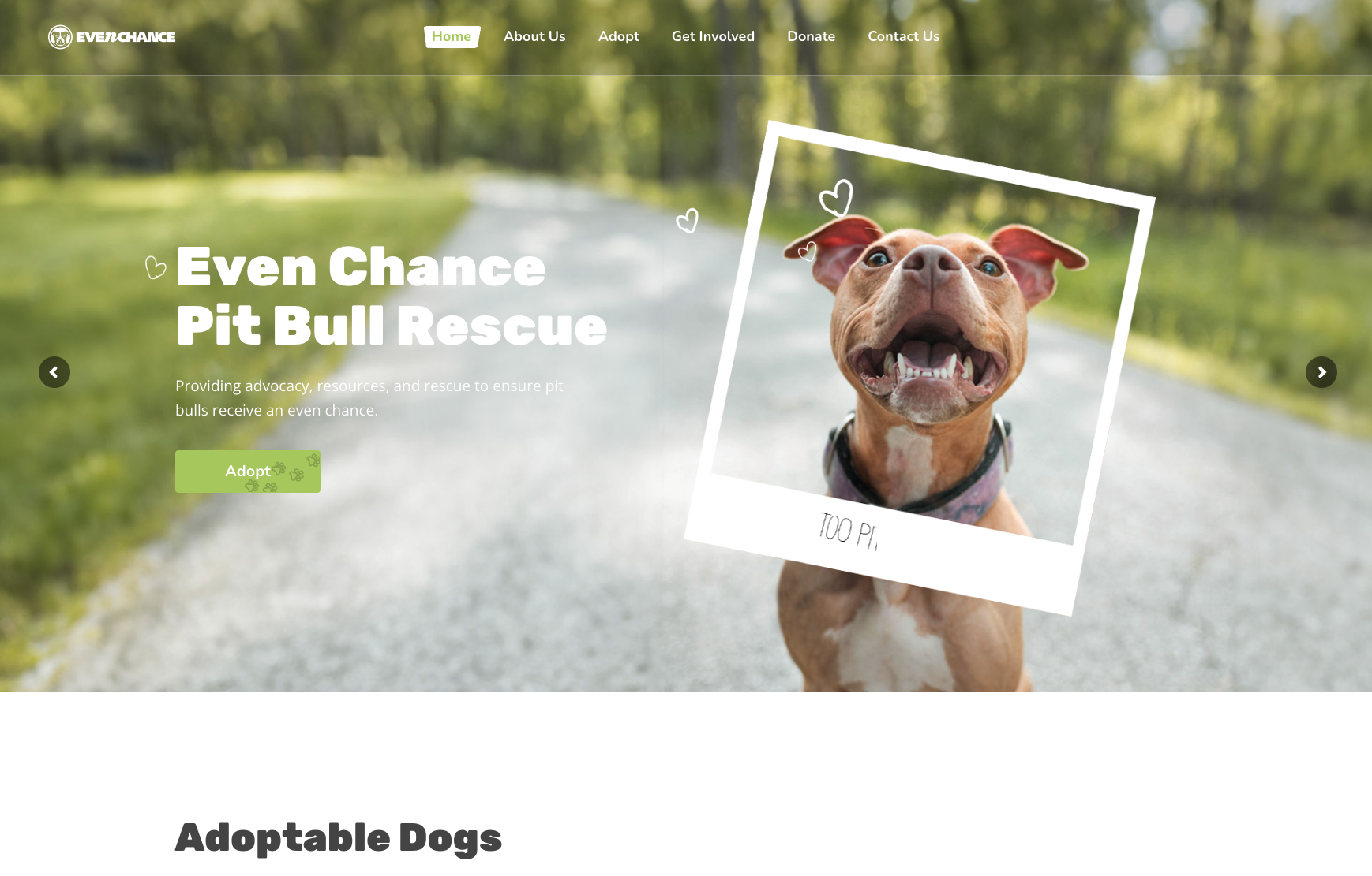 Even Chance Pit Bull Advocacy